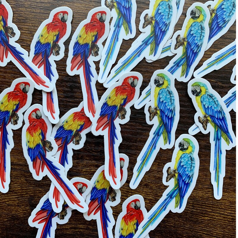 Macaw - Etsy