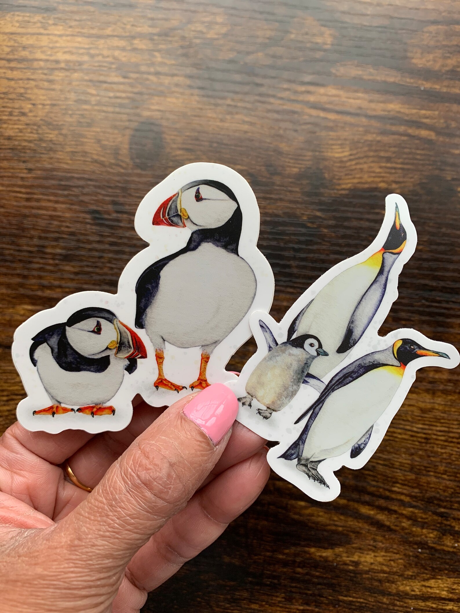 Puffins, Penguins, Puffin Sticker, Penguin Stickers, Vinyl Stickers ...
