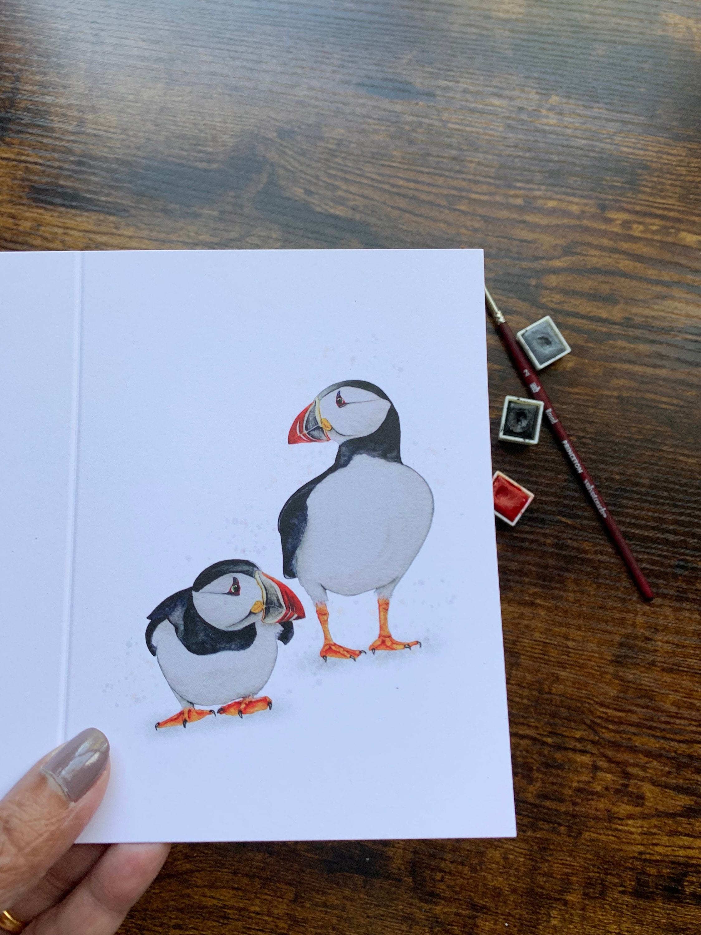 Puffins Puffins Cards Puffin Greeting Cards Nordic Birds - Etsy