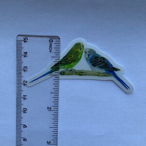 Parakeets, Parakeet Stickers, Budgerigars, Budgies, Clear Vinyl ...