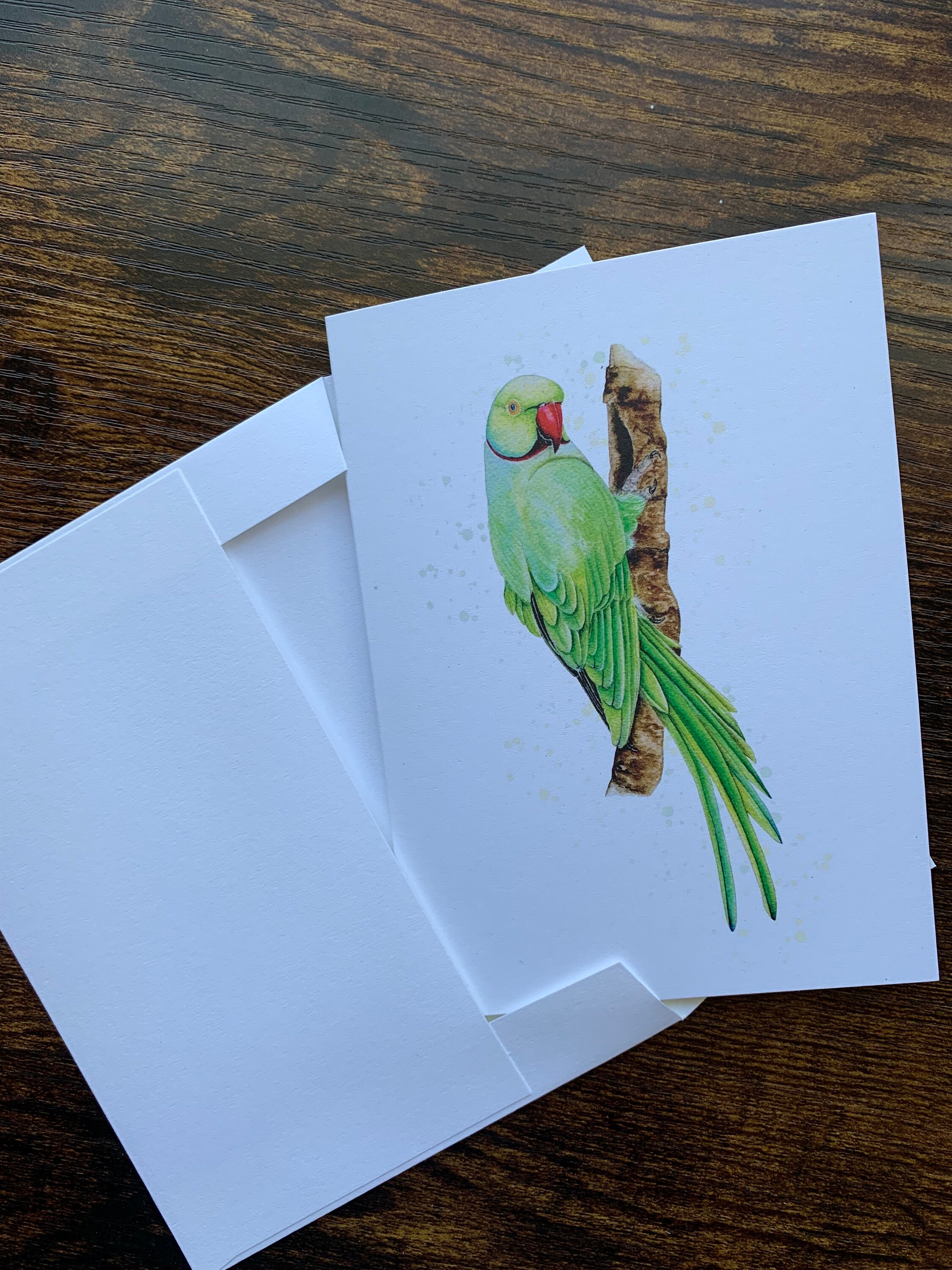 Parakeet Cards Parrot Greeting Cards Parrot Note Cards - Etsy