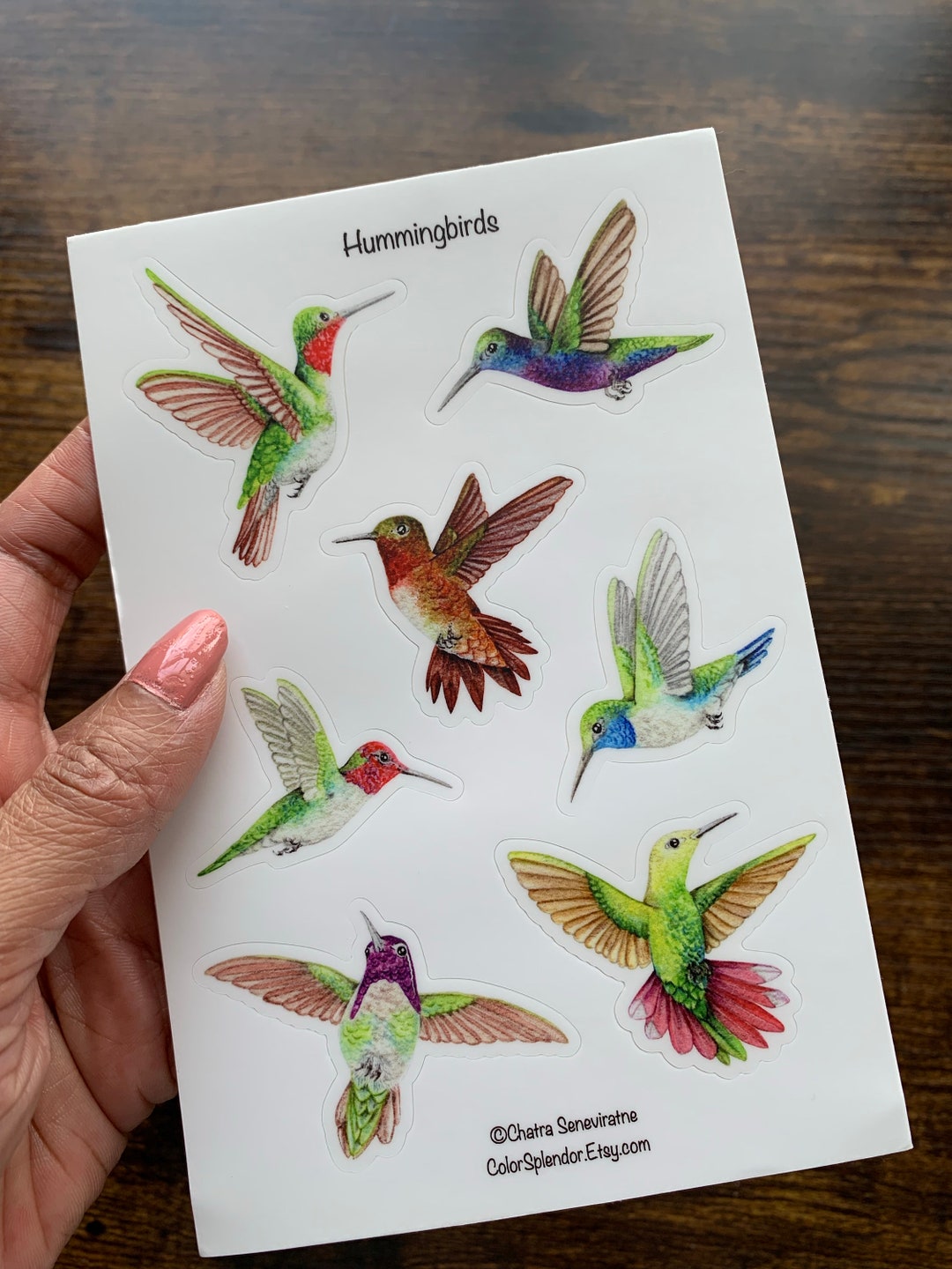 Hummingbird Sticker Sheet: Weatherproof Vinyl Stickers, Scrapbooking - Etsy