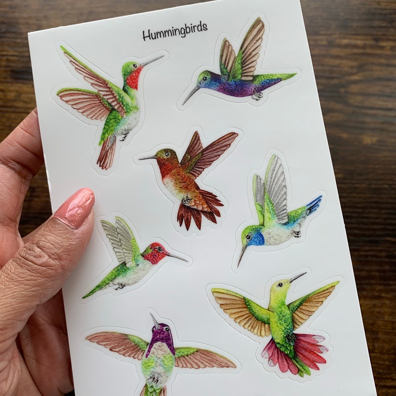 Hummingbird Sticker - Etsy