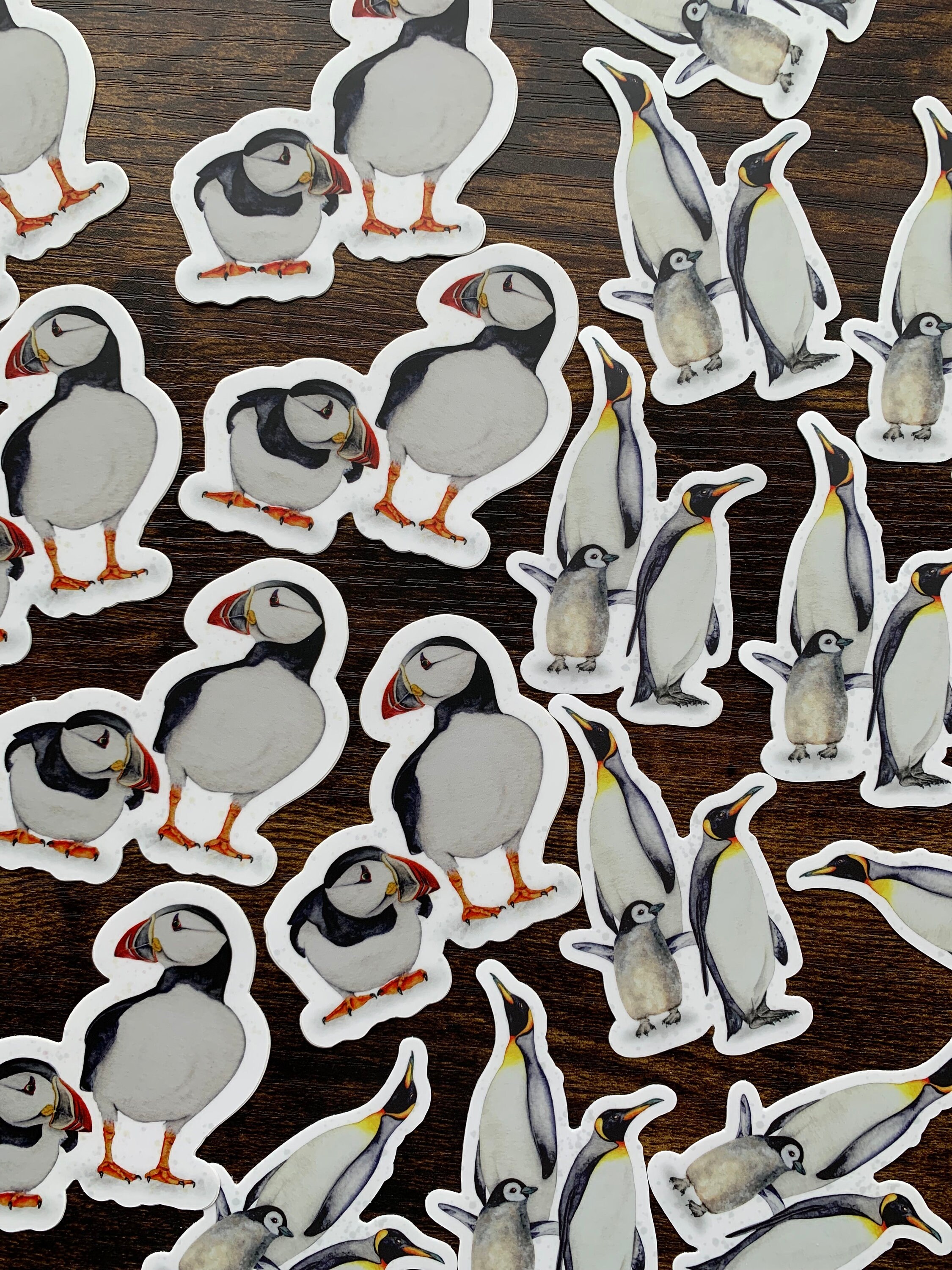 Puffins, Penguins, Puffin Sticker, Penguin Stickers, Vinyl Stickers ...