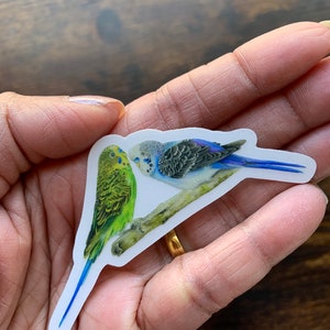 Parakeets, Parakeet Stickers, Budgerigars, Budgies, Clear Vinyl ...