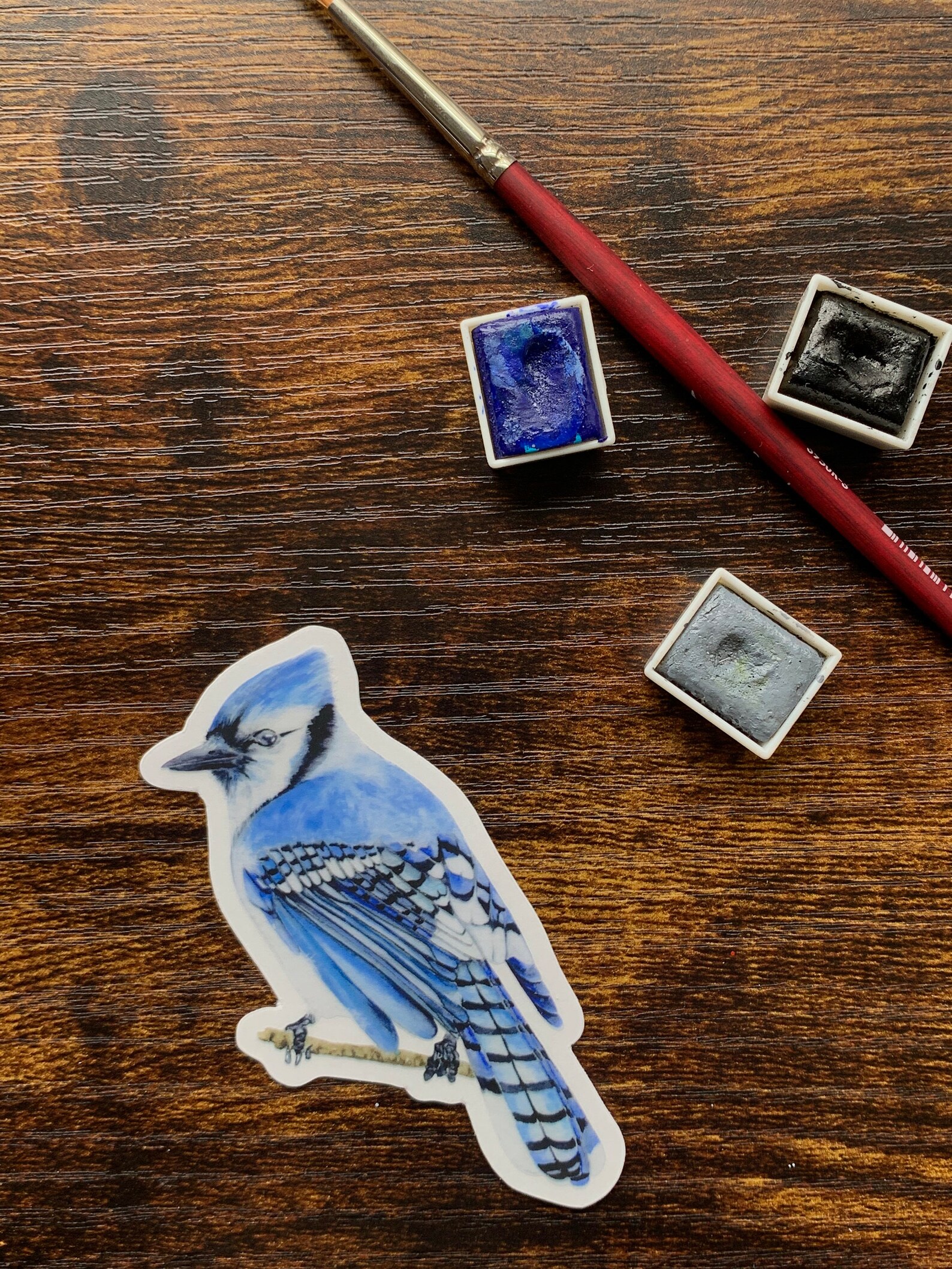 Blue Jay Sticker: Watercolor Backyard Bird, Vinyl Laptop Stickers - Etsy