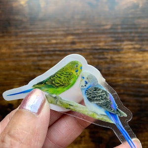 Parakeets, Parakeet Stickers, Budgerigars, Budgies, Clear Vinyl ...