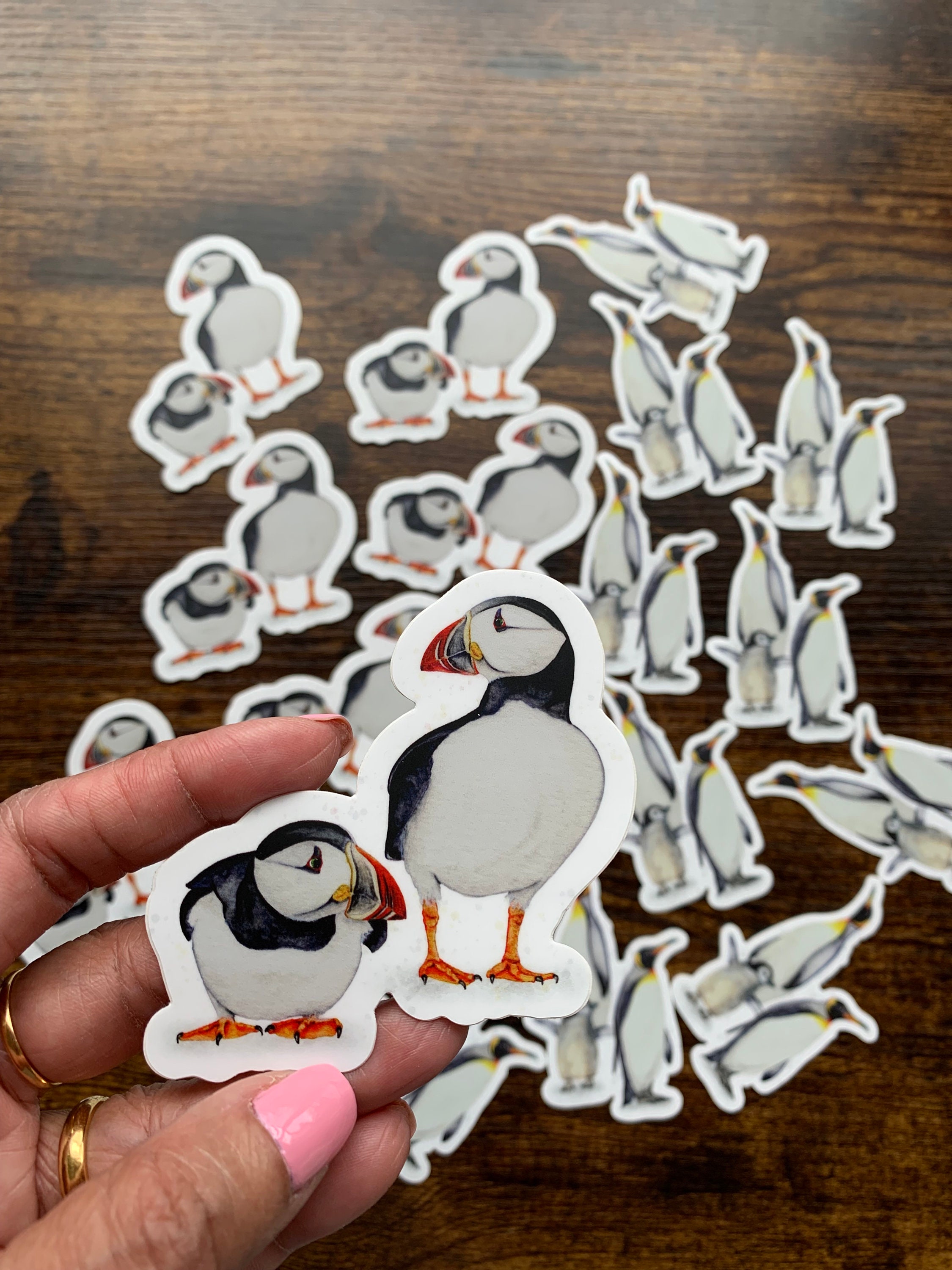 Puffins, Penguins, Puffin Sticker, Penguin Stickers, Vinyl Stickers ...