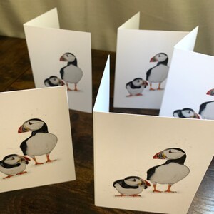 Puffins, Puffins Cards, Puffin Greeting Cards, Nordic Birds, Note Cards ...