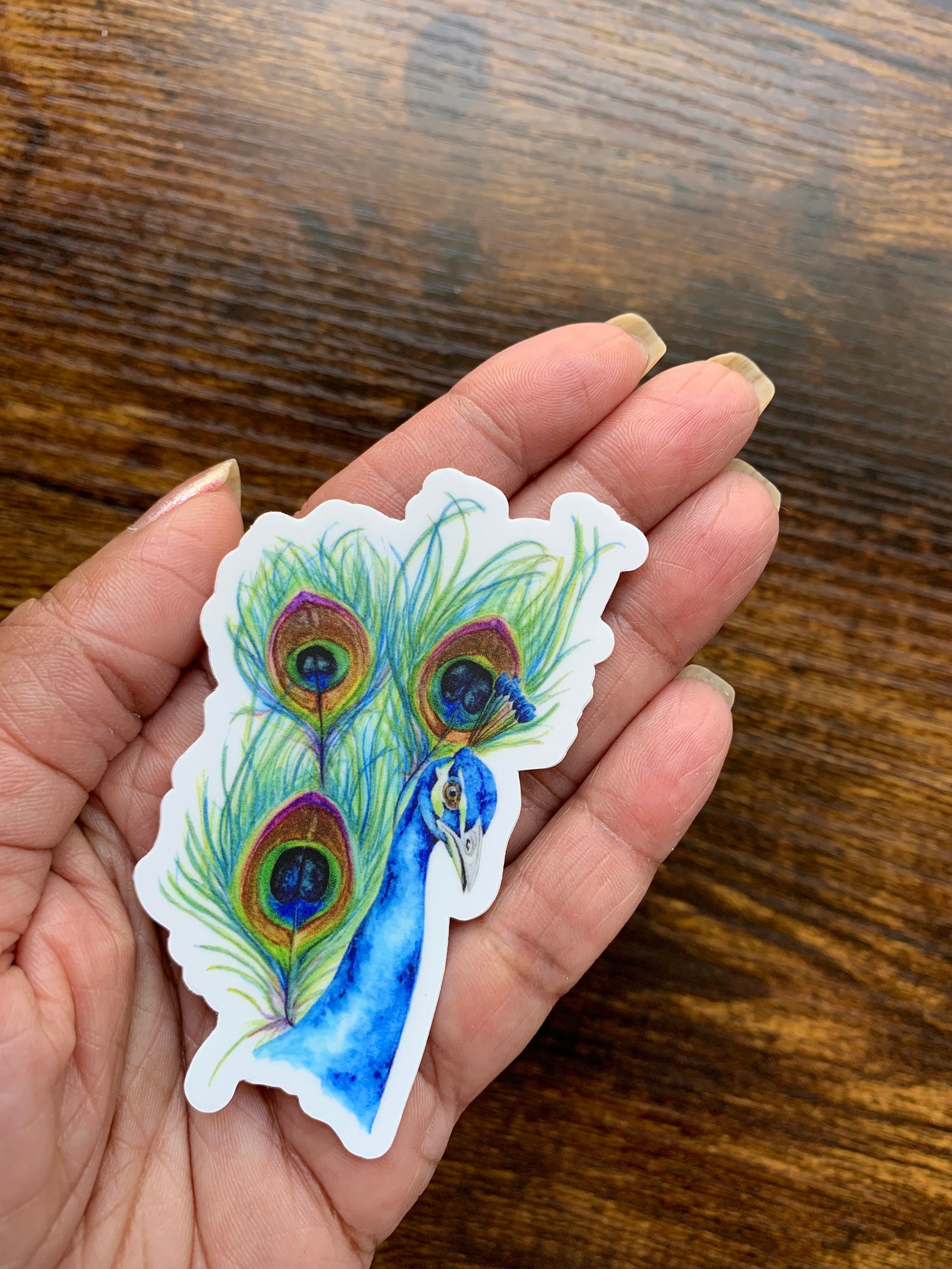 Peacock, Peacock Stickers, Peacock Vinyl Sticker, Vinyl Stickers ...
