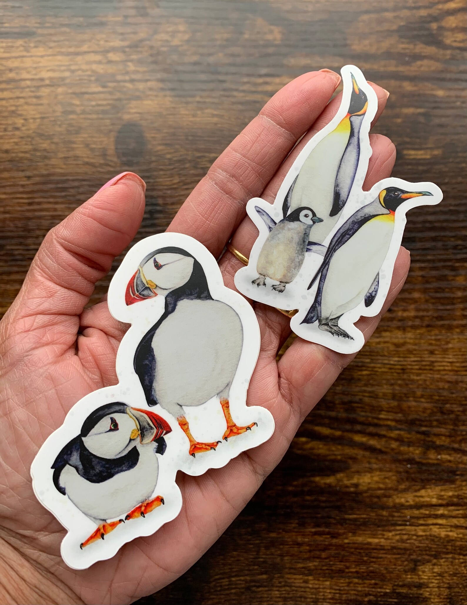 Puffins, Penguins, Puffin Sticker, Penguin Stickers, Vinyl Stickers ...