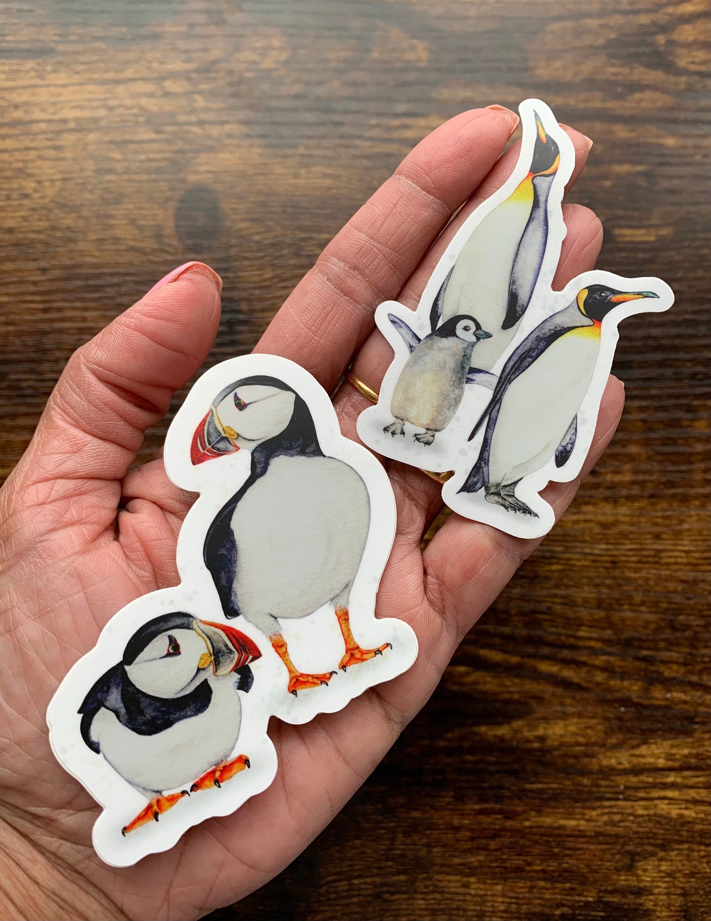 Puffins, Penguins, Puffin Sticker, Penguin Stickers, Vinyl Stickers ...