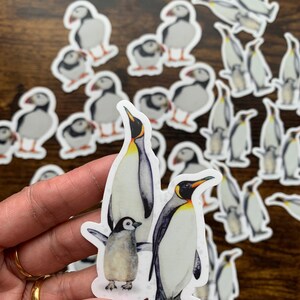 Puffins, Penguins, Puffin Sticker, Penguin Stickers, Vinyl Stickers ...