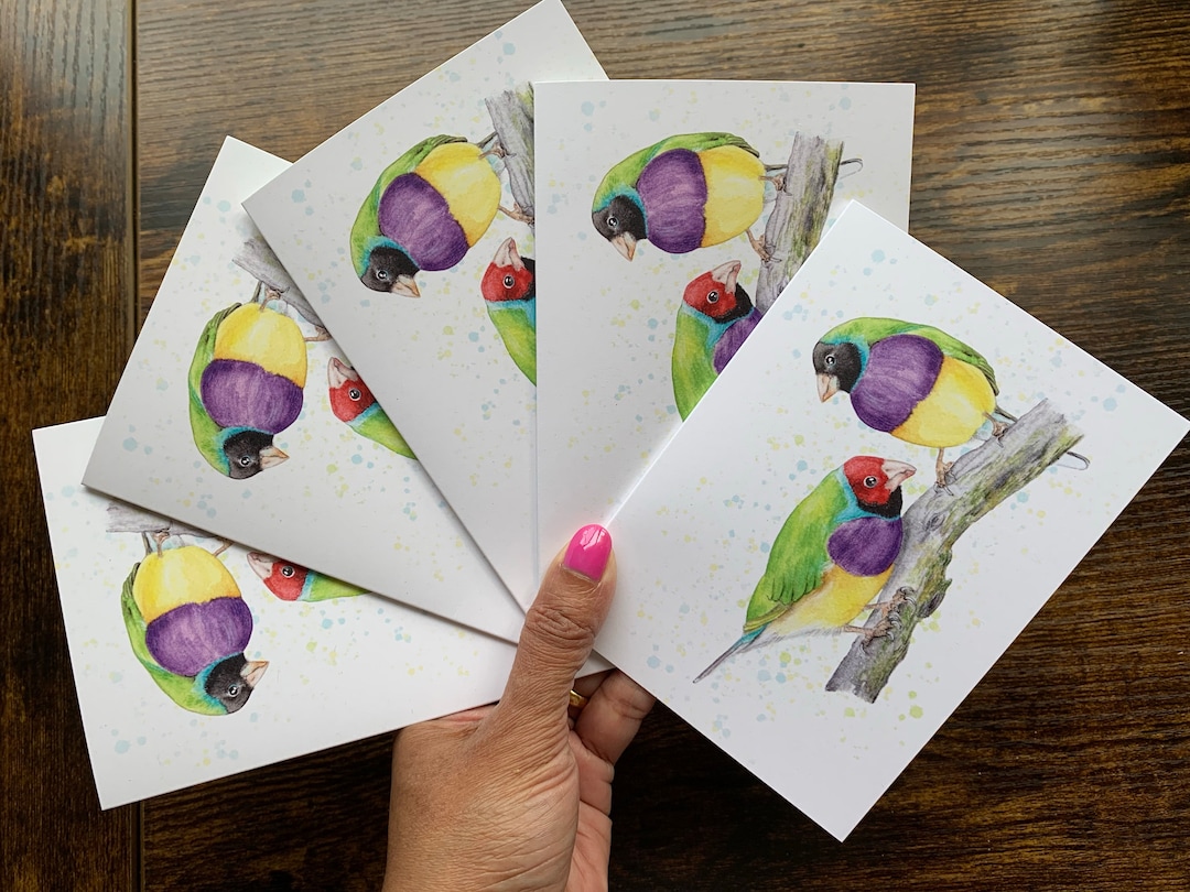 Gouldian Finch Greeting Cards, Gould’s Finch, Rainbow Finch, Finches ...
