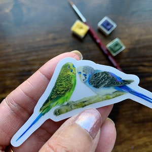 Parakeets, Parakeet Stickers, Budgerigars, Budgies, Clear Vinyl ...