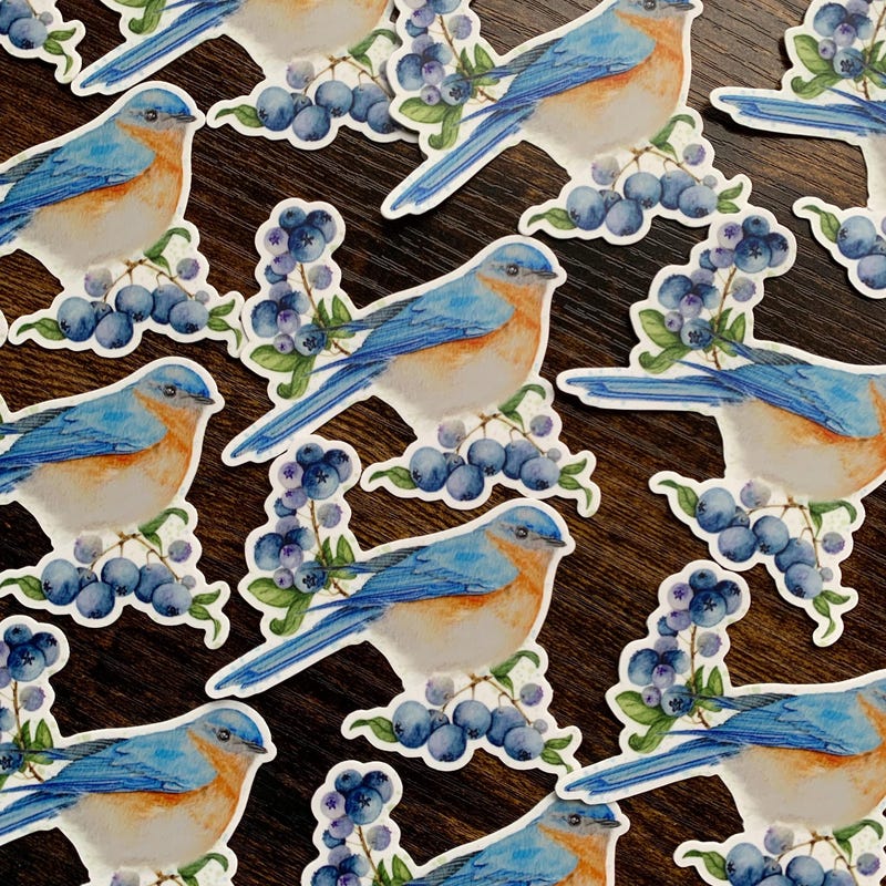 Bluebird Stickers - Etsy