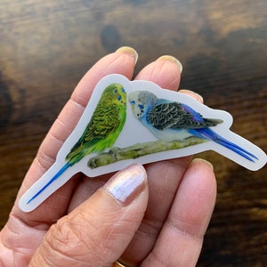 Parakeets, Parakeet Stickers, Budgerigars, Budgies, Clear Vinyl ...