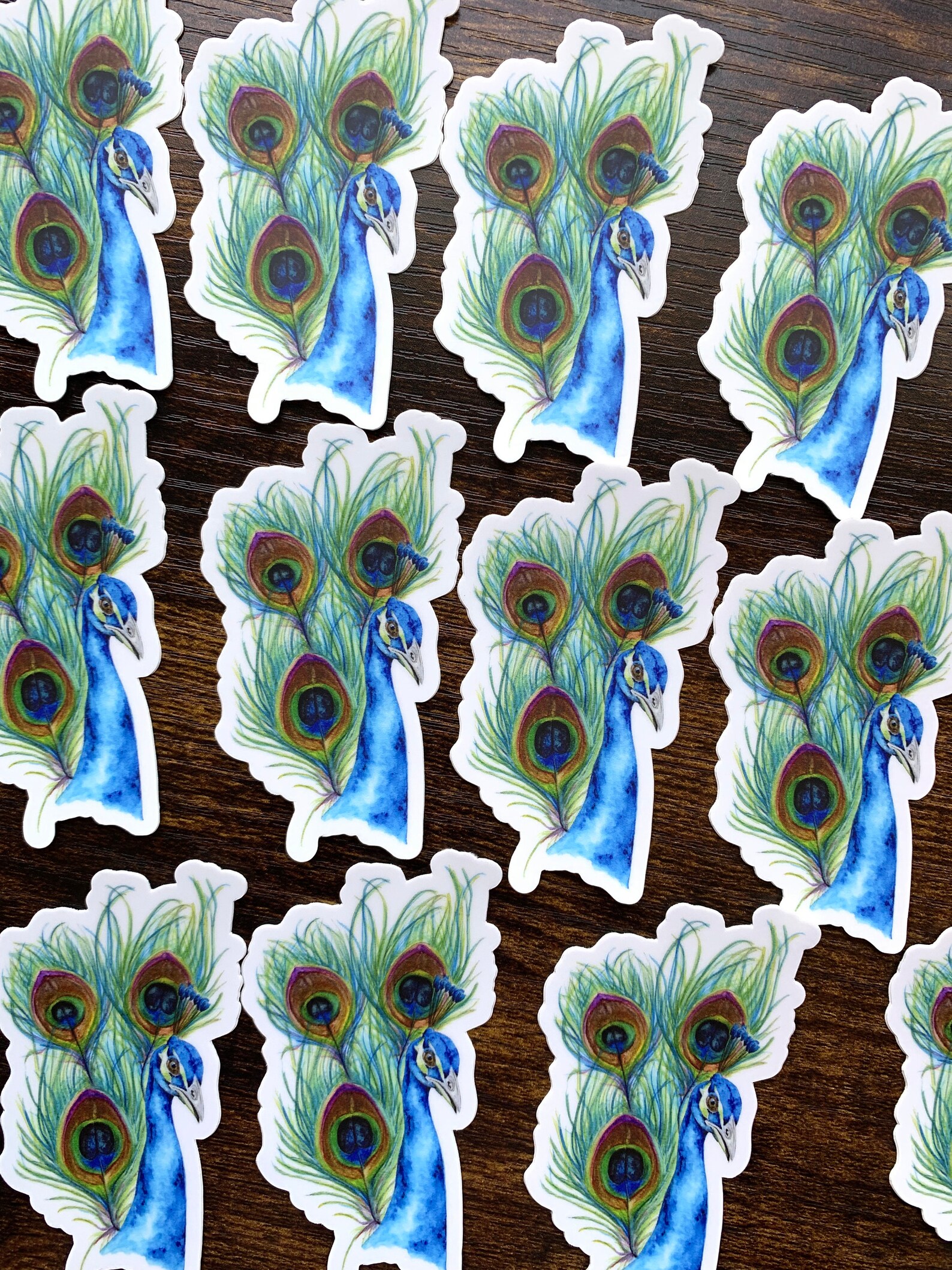 Peacock, Peacock Stickers, Peacock Vinyl Sticker, Vinyl Stickers ...