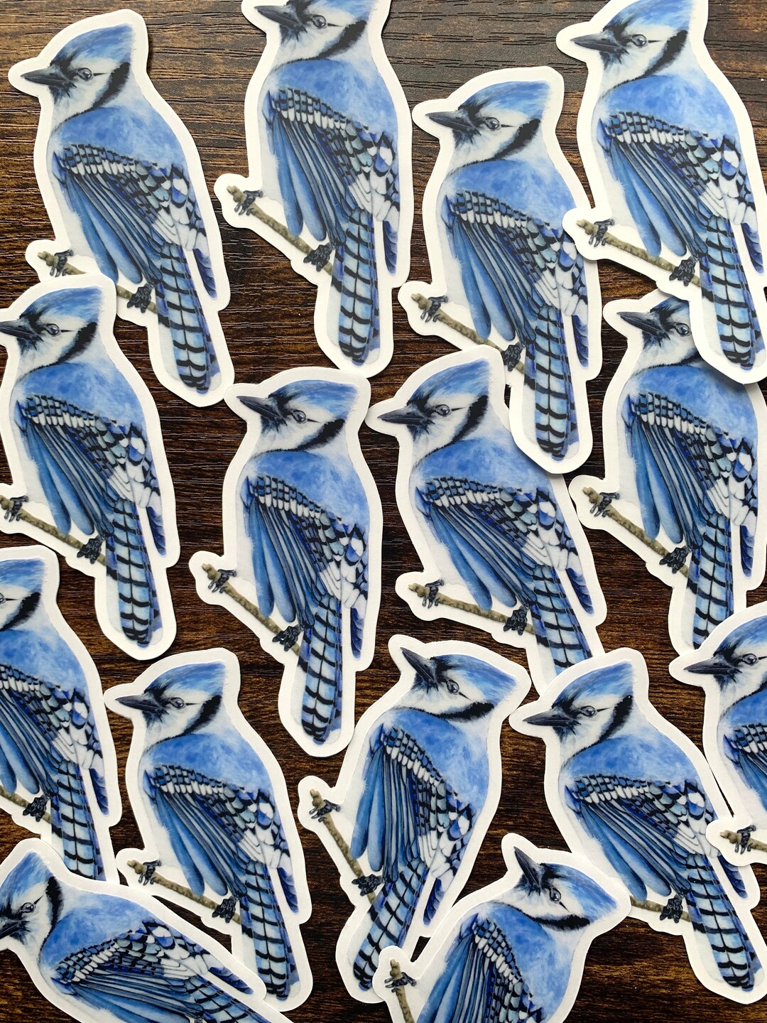 Blue Jays, Blue Jay Stickers, Stickers, Bird Stickers, Clear Stickers ...