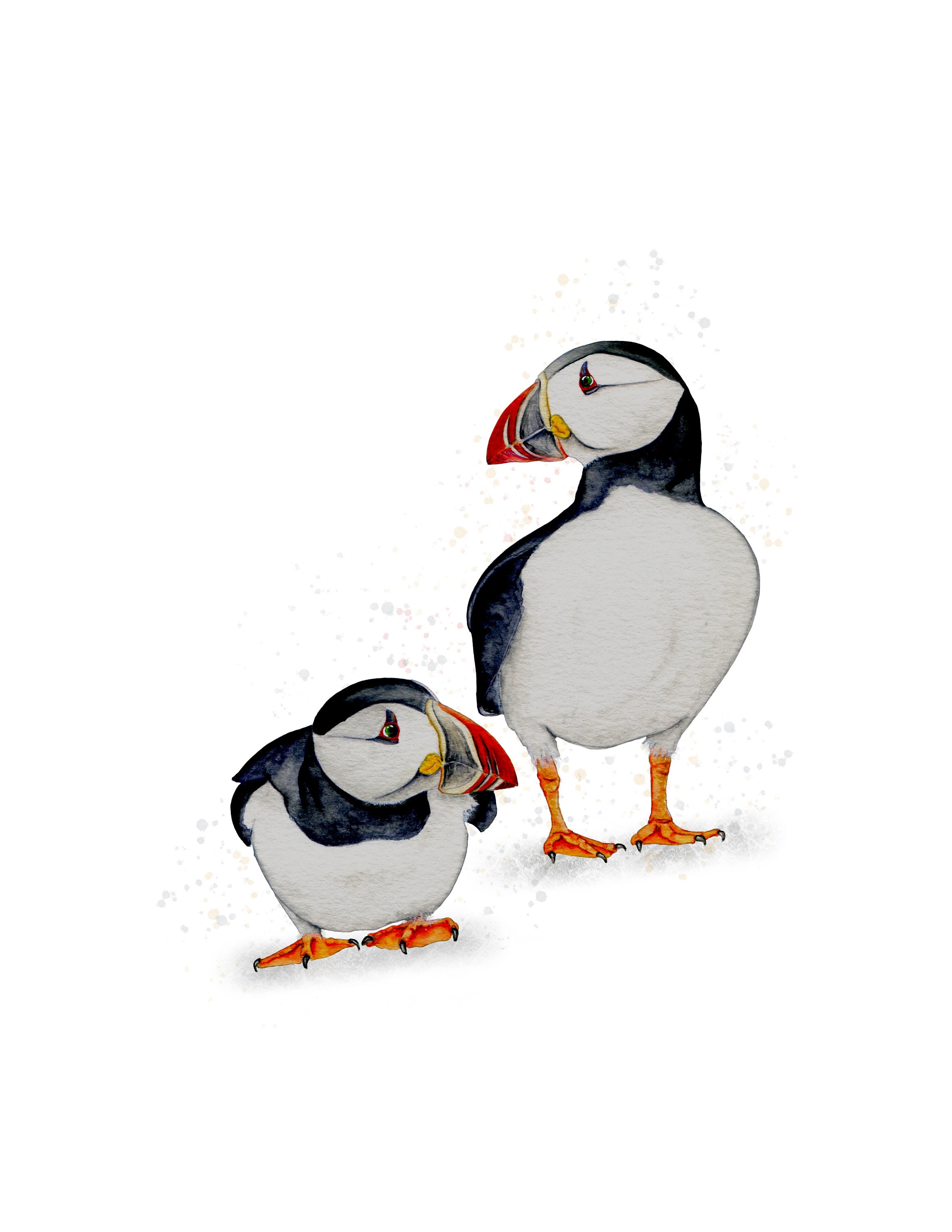 Puffins, Penguins, Puffin Sticker, Penguin Stickers, Vinyl Stickers ...