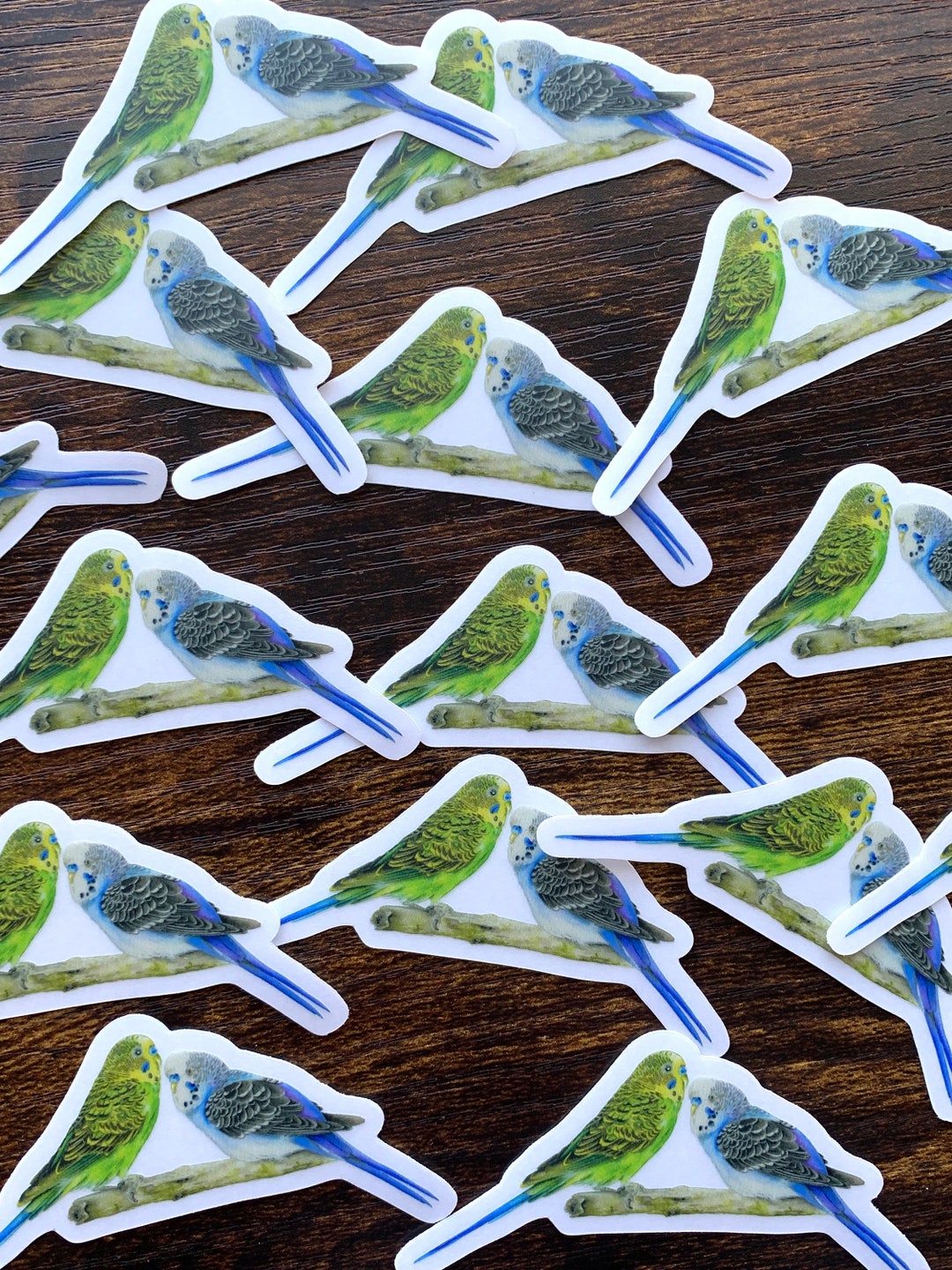 Parakeets, Parakeet Stickers, Budgerigars, Budgies, Clear Vinyl ...