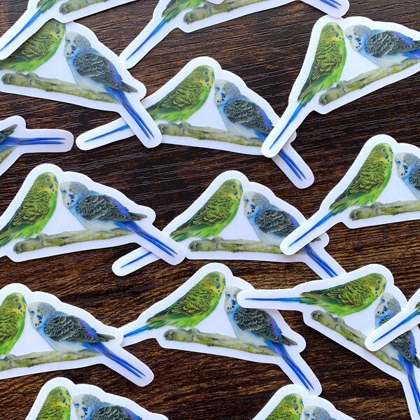 Parakeet Stickers - Etsy