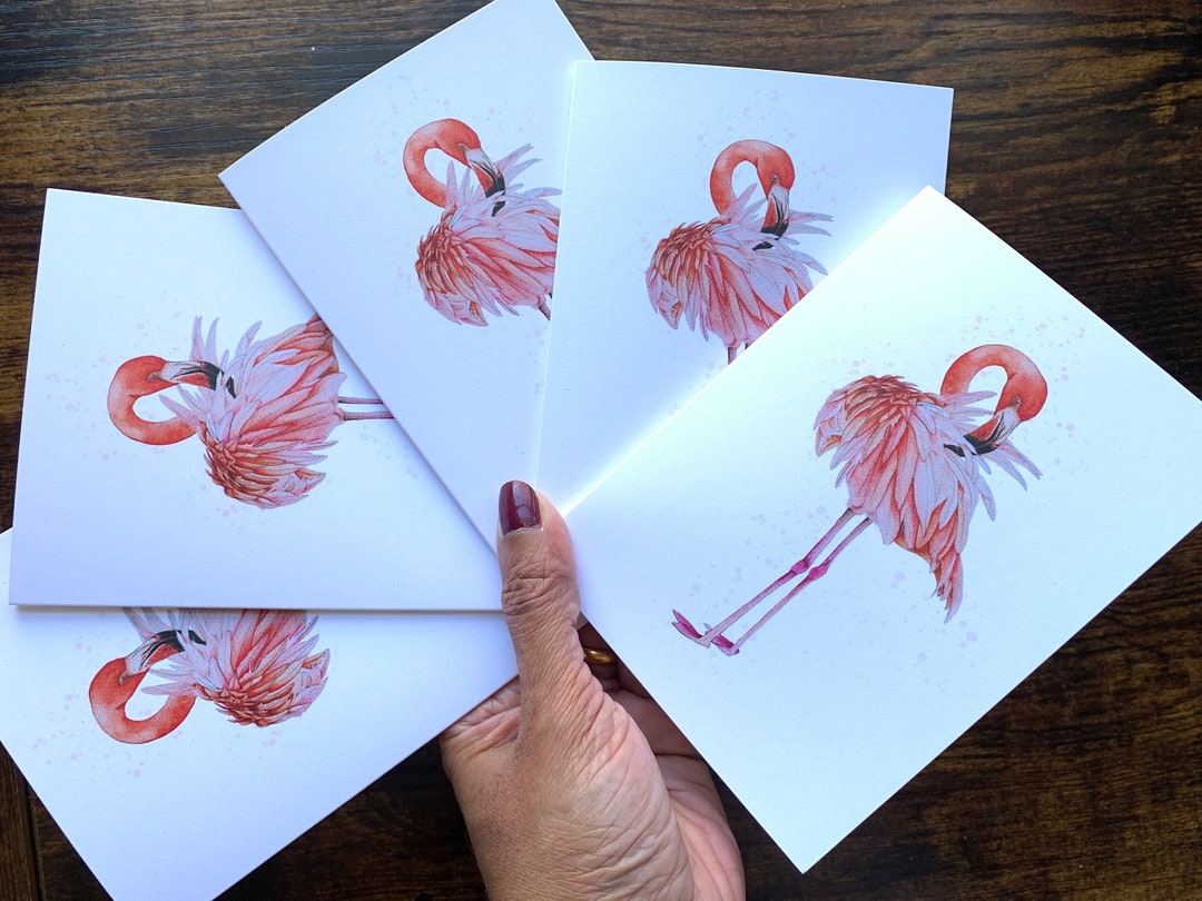 Flamingos, Flamingo Greeting Cards, Greeting Cards , Pink Bird ...