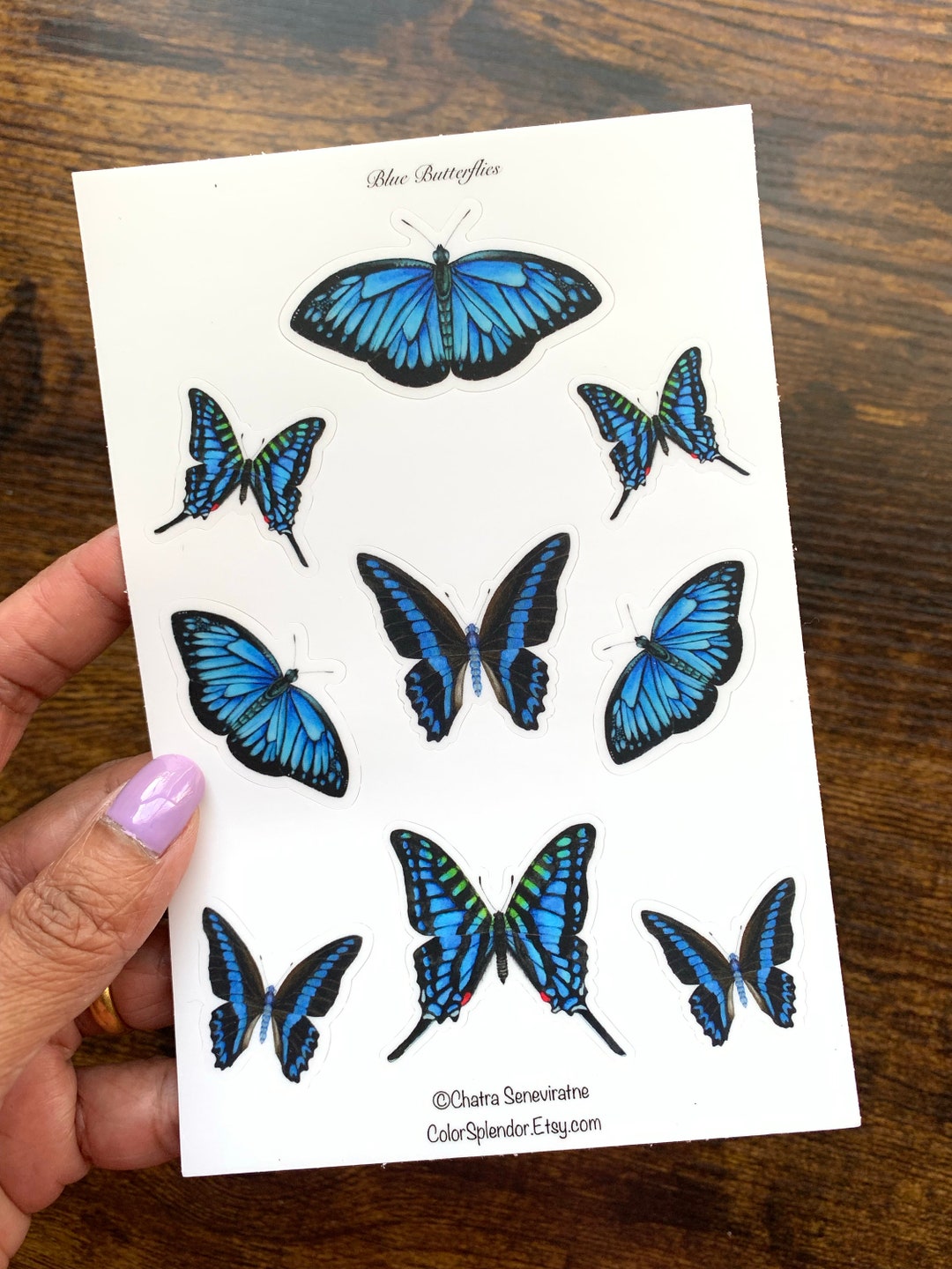 Blue Butterfly Sticker Sheets, Blue Butterflies, Sticker Sheets ...