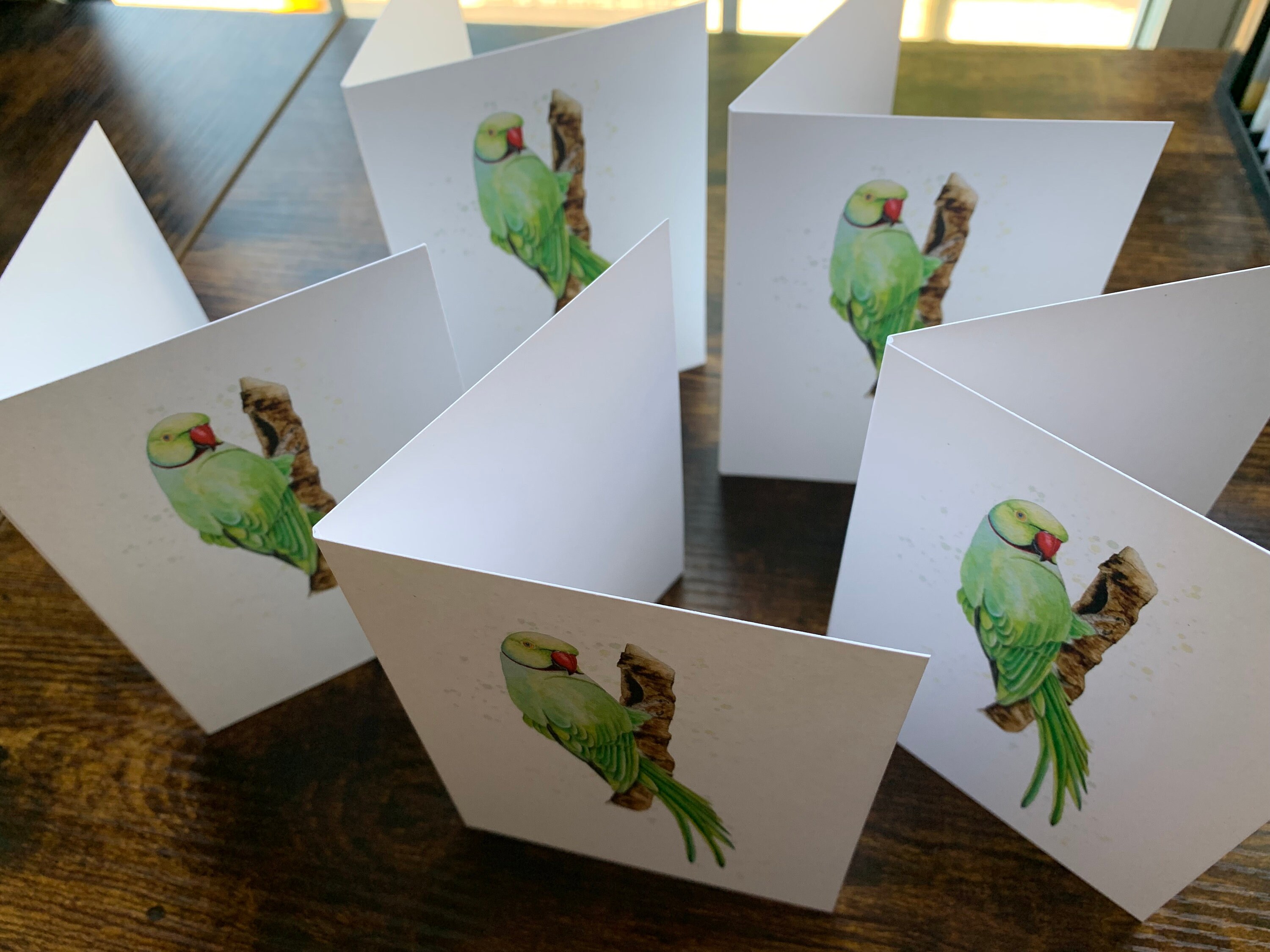 Parakeet Cards Parrot Greeting Cards Parrot Note Cards - Etsy