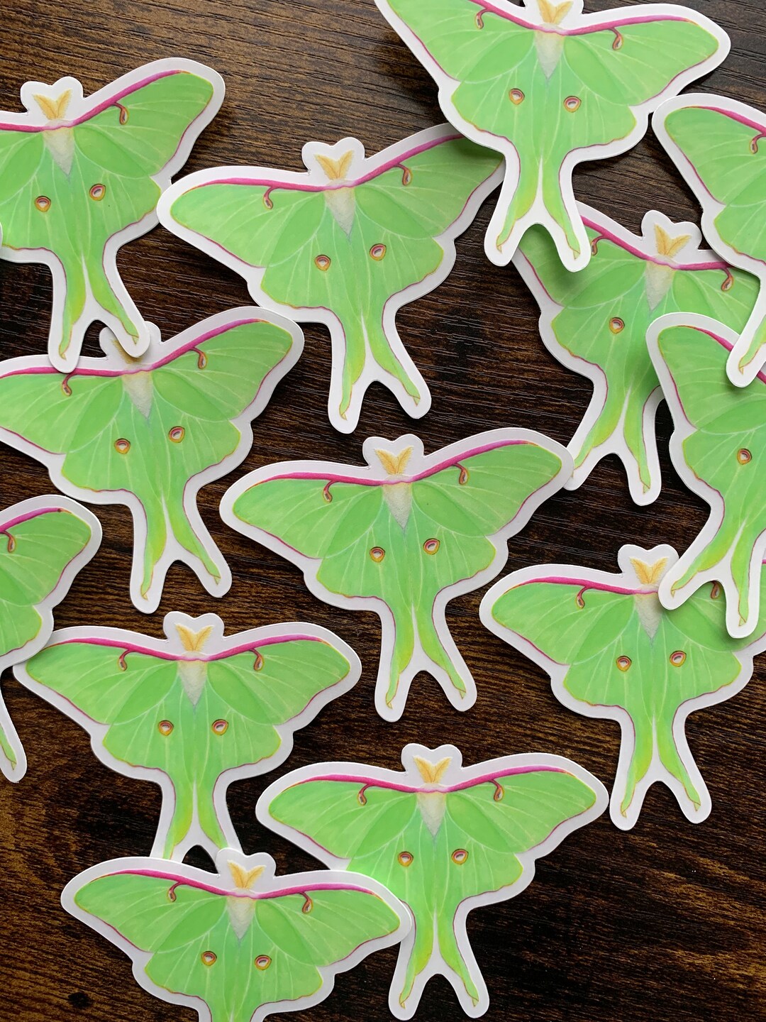 Luna Moth Sticker: Clear Vinyl Laptop Stickers - Etsy