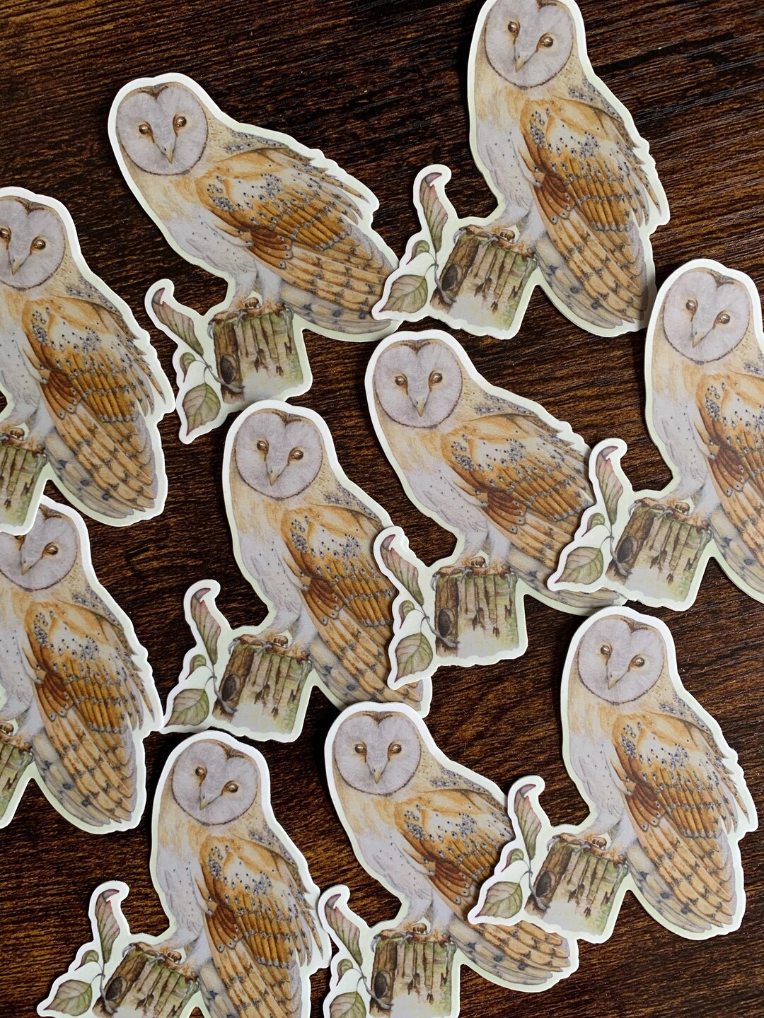 Barn Owl, Barn Owl Stickers, Barn Owl Watercolor Stickers, Stickers ...