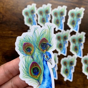 Peacock, Peacock Stickers, Peacock Vinyl Sticker, Vinyl Stickers ...