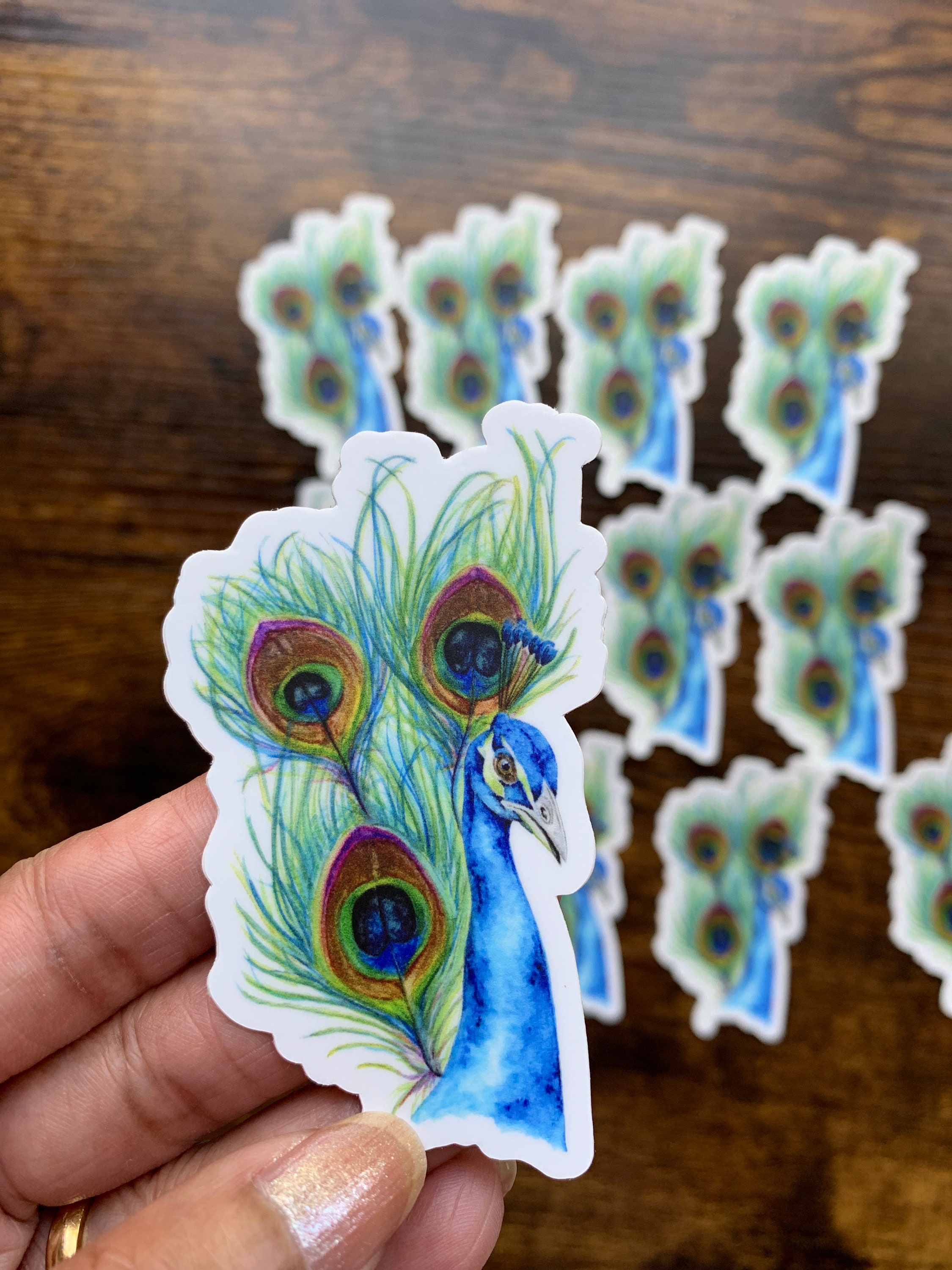 Peacock, Peacock Stickers, Peacock Vinyl Sticker, Vinyl Stickers ...