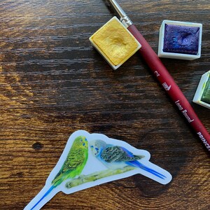 Parakeets, Parakeet Stickers, Budgerigars, Budgies, Clear Vinyl ...