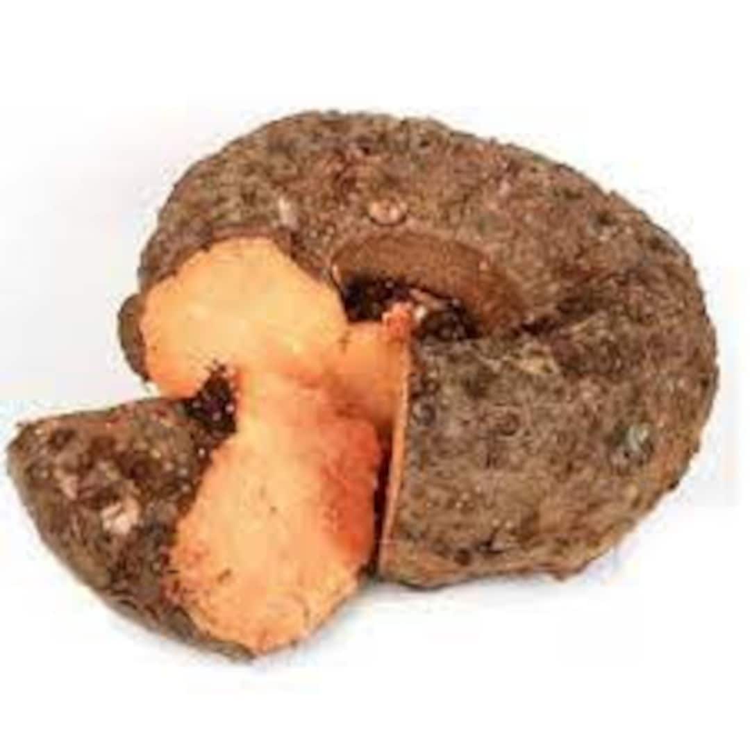 Fresh Organic Elephant Foot Yam NOT LEAVES Only Tubers Aka Chena, Suran ...