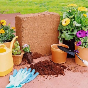 Natural Coconut Peat Moss -11.5 Pounds Promotes Excellent Root System ...