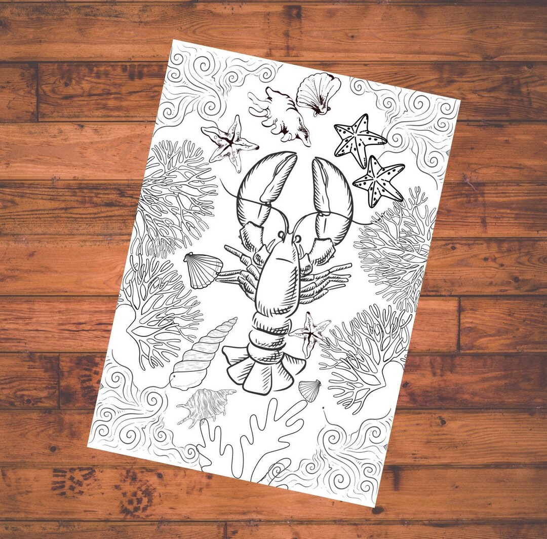 Lobster Printable Coloring Page, Ocean Coloring Page, Sea Shells ...