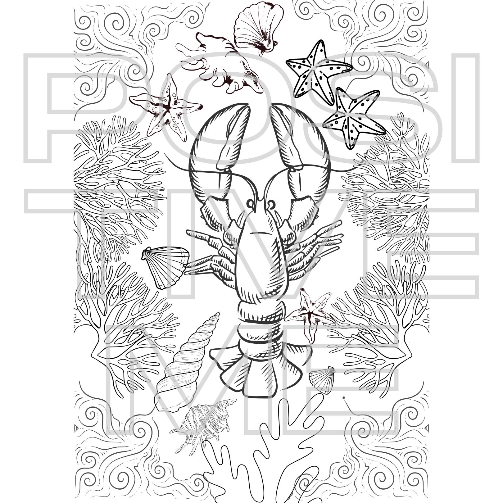 Lobster Printable Coloring Page, Ocean Coloring Page, Sea Shells ...