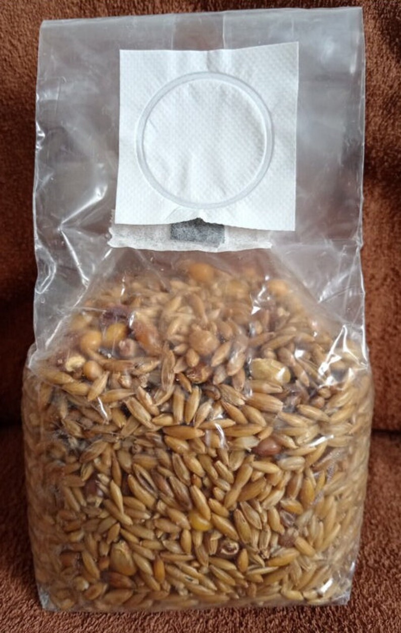 Grain Spawn Base Sterile 3 X 600g, "ready to Use", for the Production ...