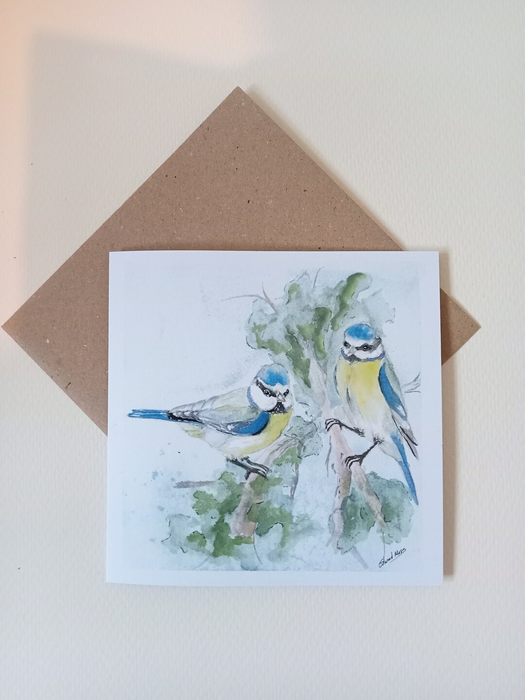 Pair of Bluetits, Blue-tits, Blue Tit, Passerine Birds, Birds, Garden ...