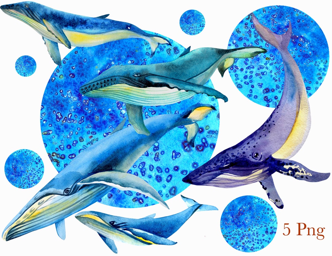 Watercolor Clip Art Whale Clipart Marine Mammals Clip Art - Etsy UK