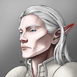 Custom Hand Drawn Digital Dnd Portrait Character Art - Etsy