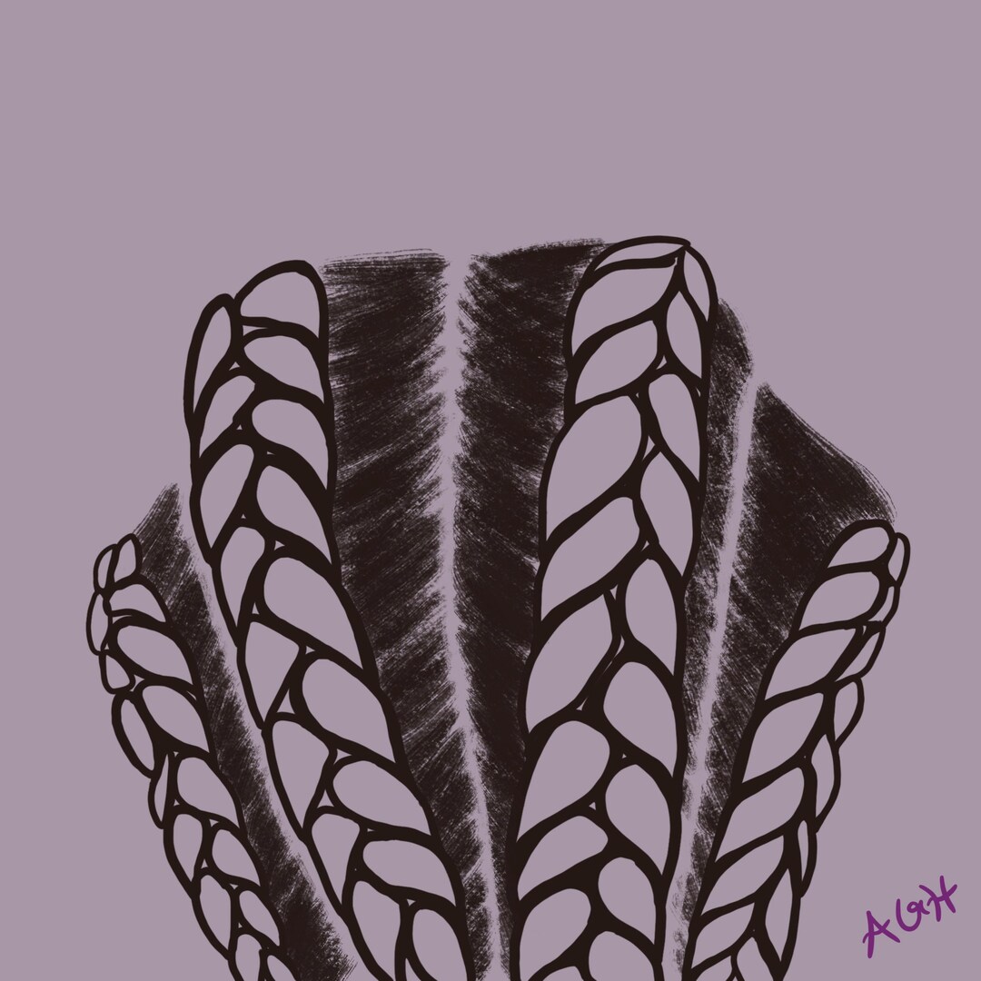 Cornrows - Black Girl Magic Aesthetic - Etsy