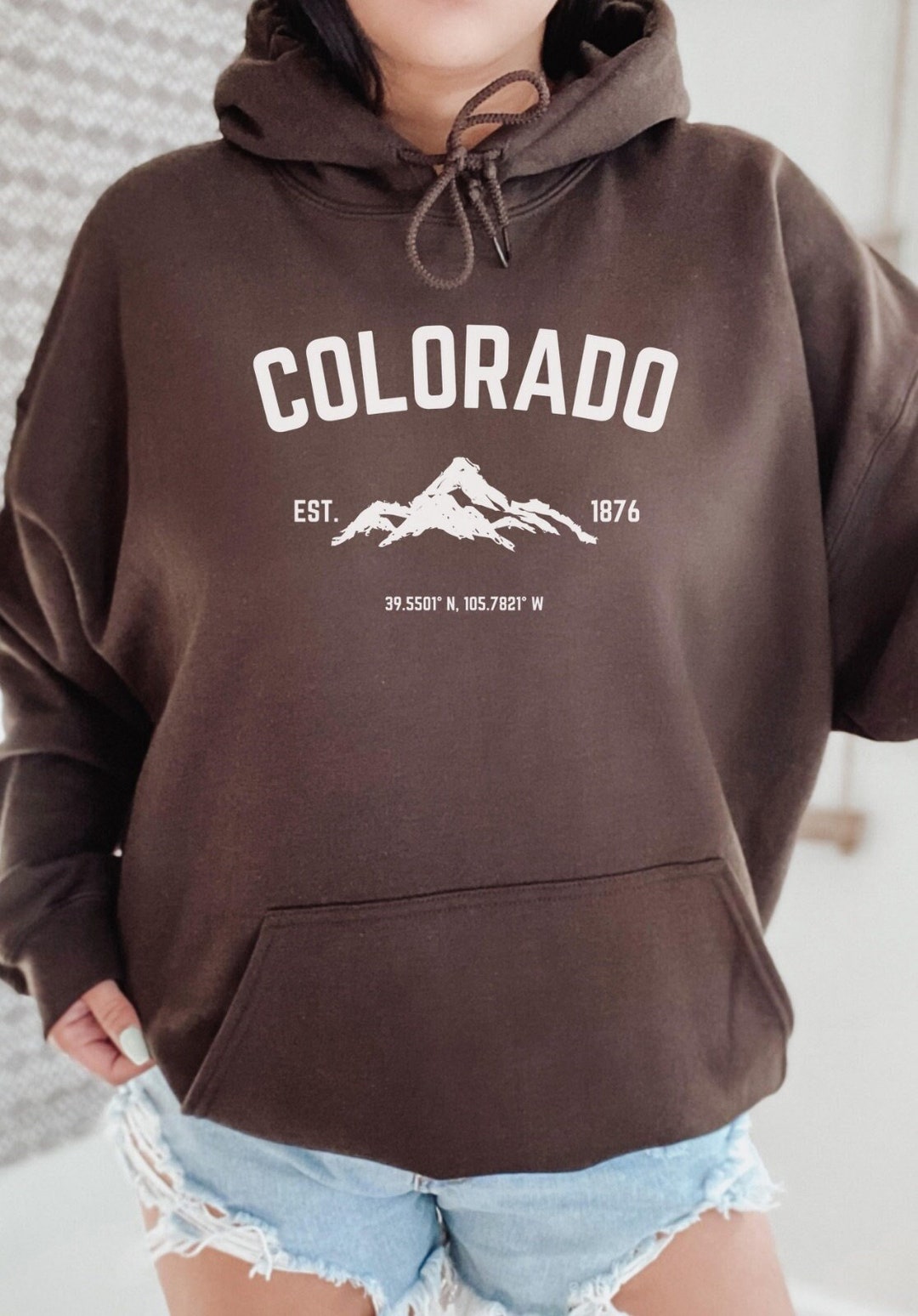Colorado Hoodie/ Vintage Colorado Hoodie/ State Hoodie/ Colorado ...