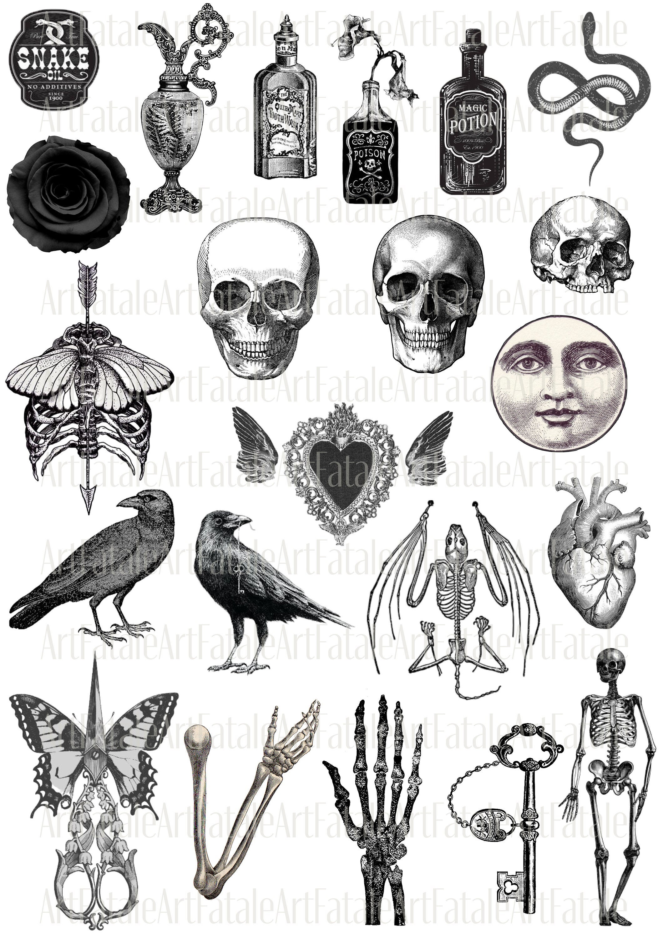 Vintage Dark Clipart Instant Download Macabre Edgar Allan Poe Separate ...