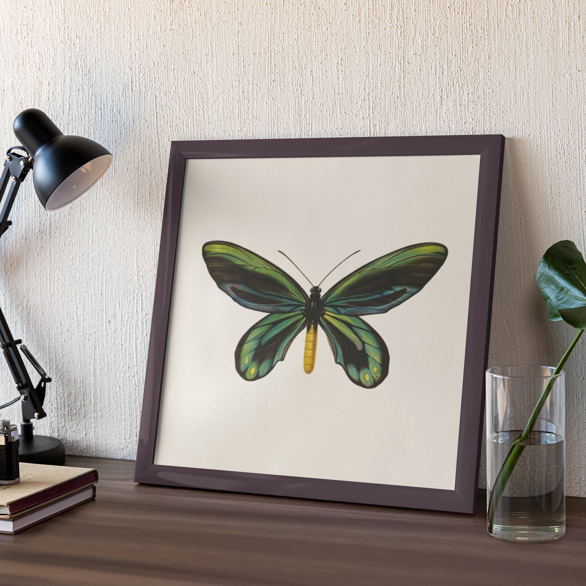 Butterfly Clipart Separate PNG Vintage Images of Butterflies Digital ...