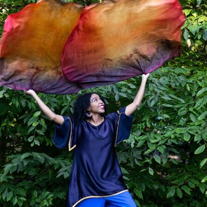 TRIBE OF JUDAH - Swing Flags, Praise Flags, Worship Flags Set, Silk ...