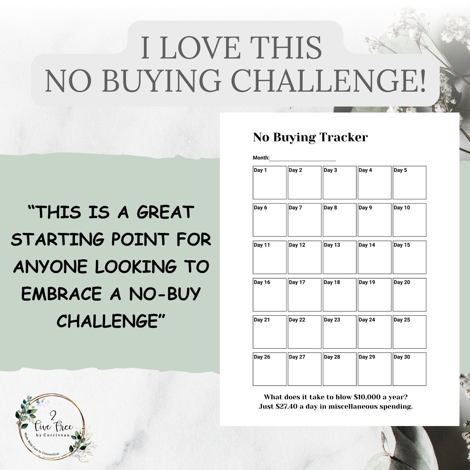 No-buy Challenge Printable Bundle: Savings Tracker (PDF Download) - Etsy