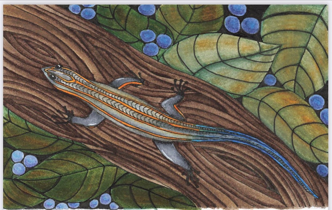 Blue Skink Print - Etsy