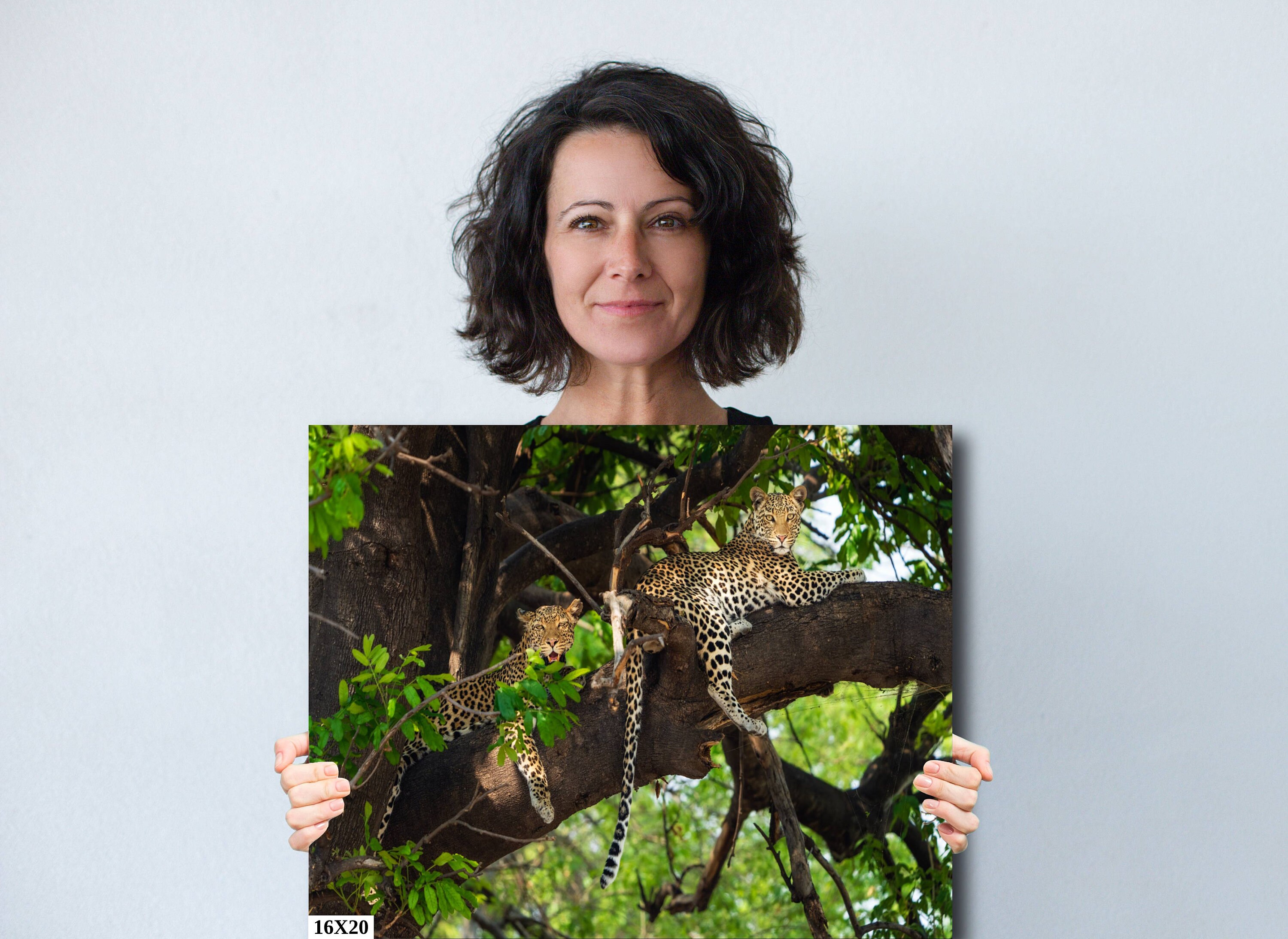 Leopards in a Tree Wall Art, Leopard Canvas Print, Animals Photography ...